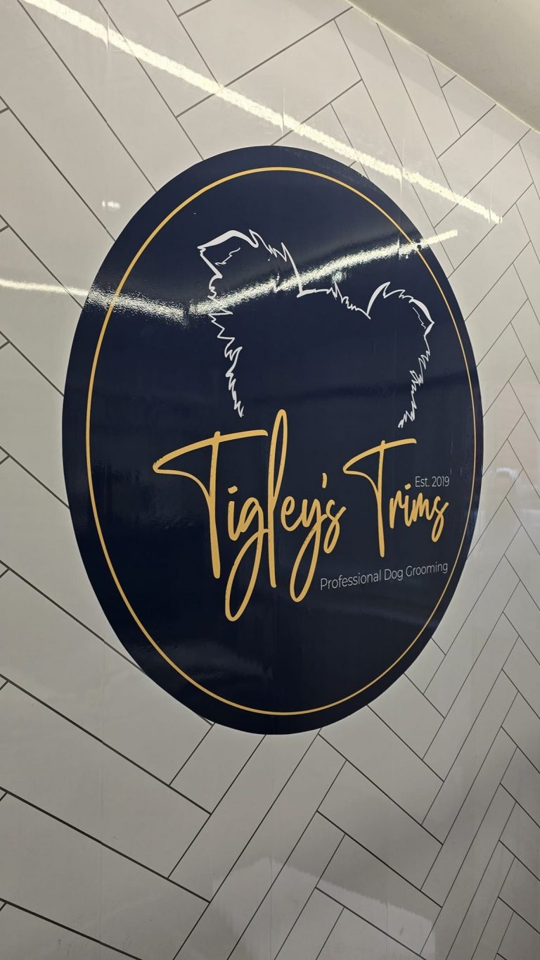 CIRCULAR WALL STICKER